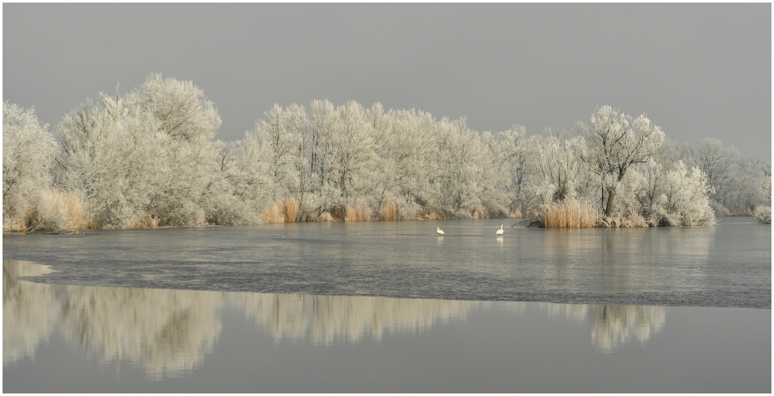 Szigetközi fotók - Tüske-tó Vendégház